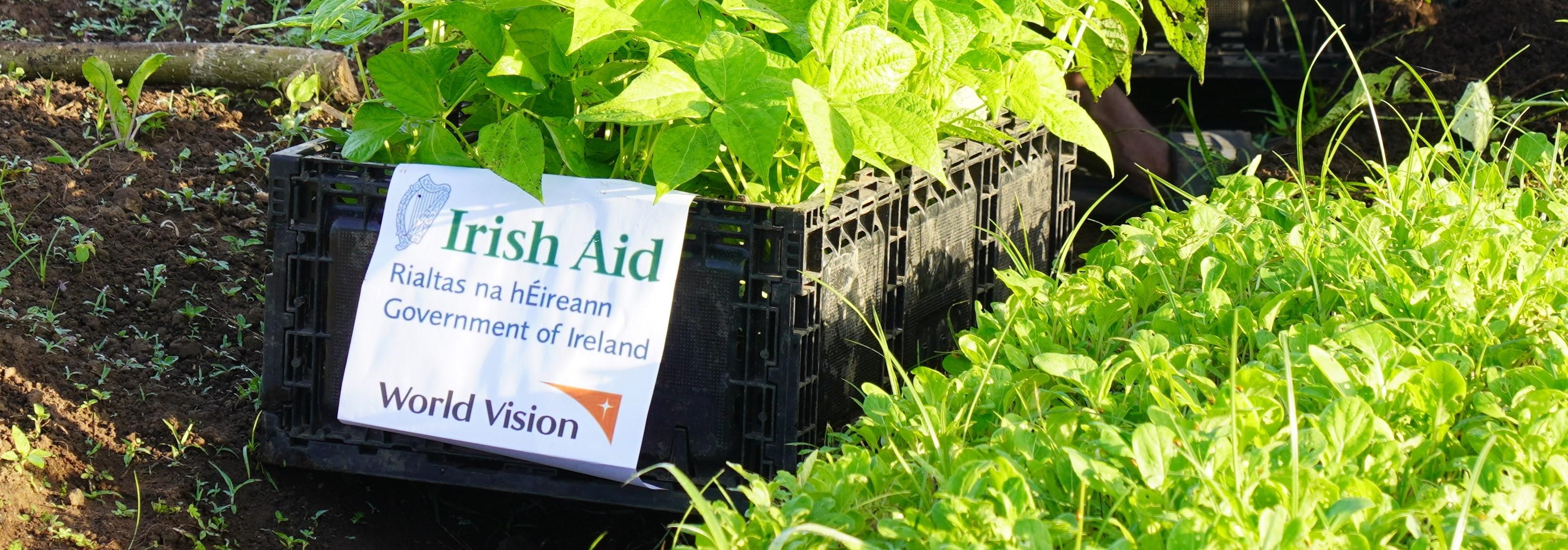 Irish Aid World Vision